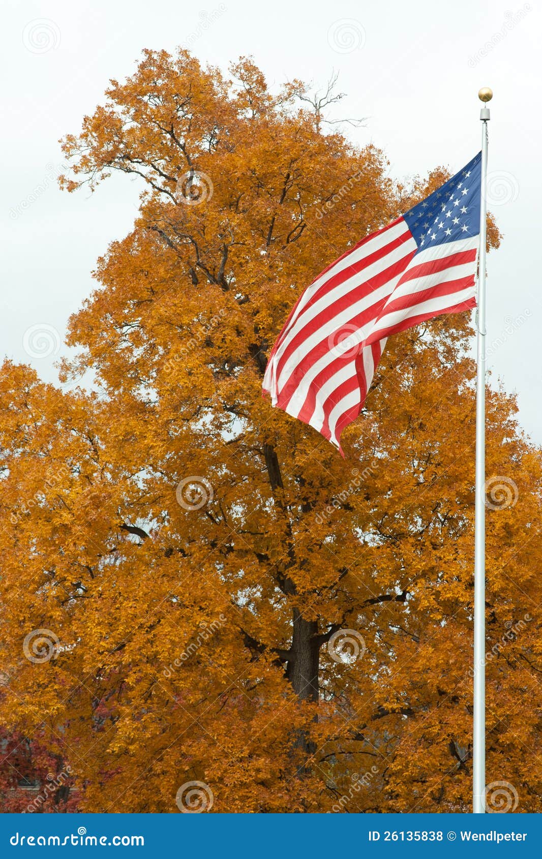 106 Us Flag Front Tree Photos - Free & Royalty-Free Stock Photos from ...