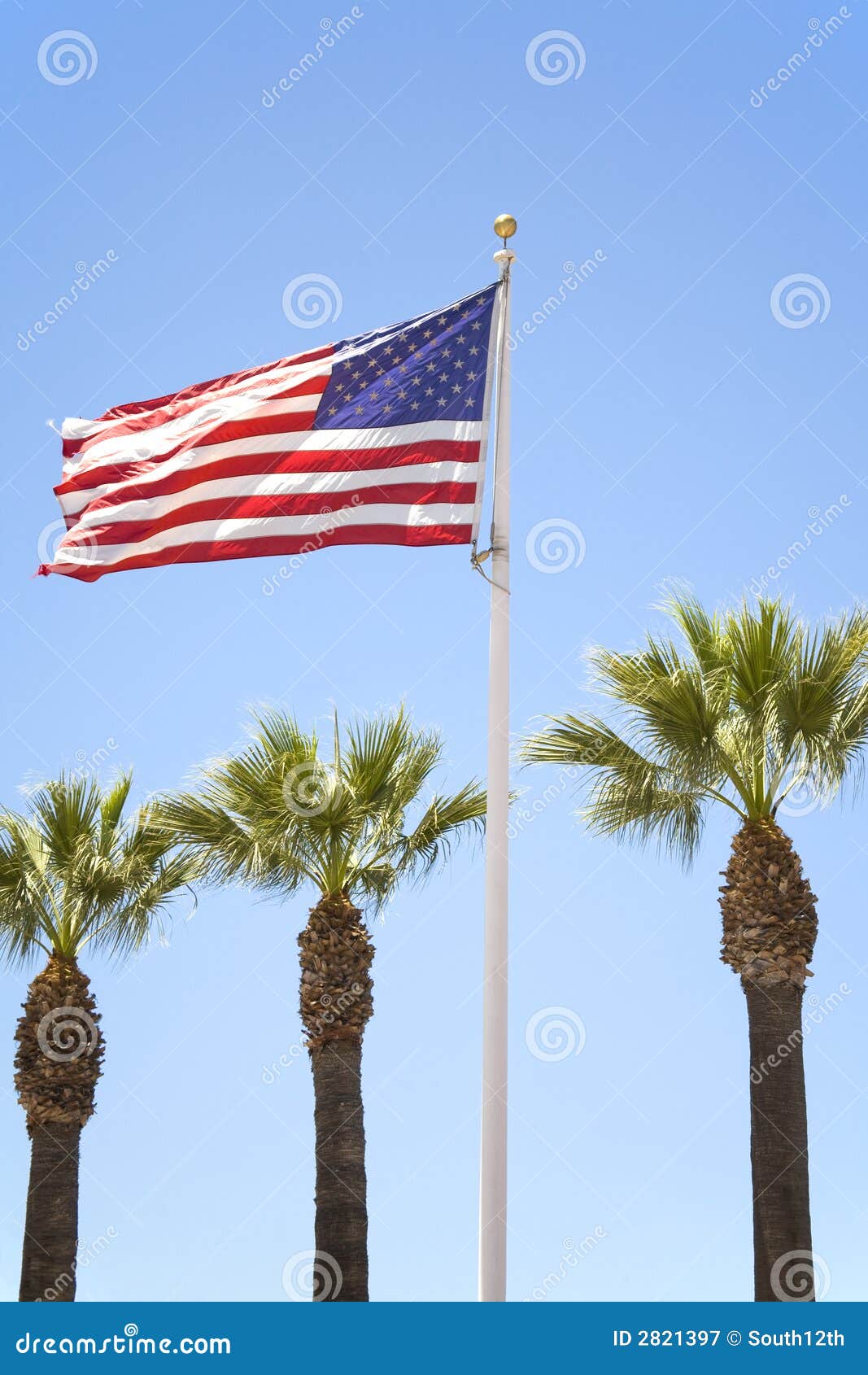 US Flag and Palm Trees stock image. Image of independence - 2821397