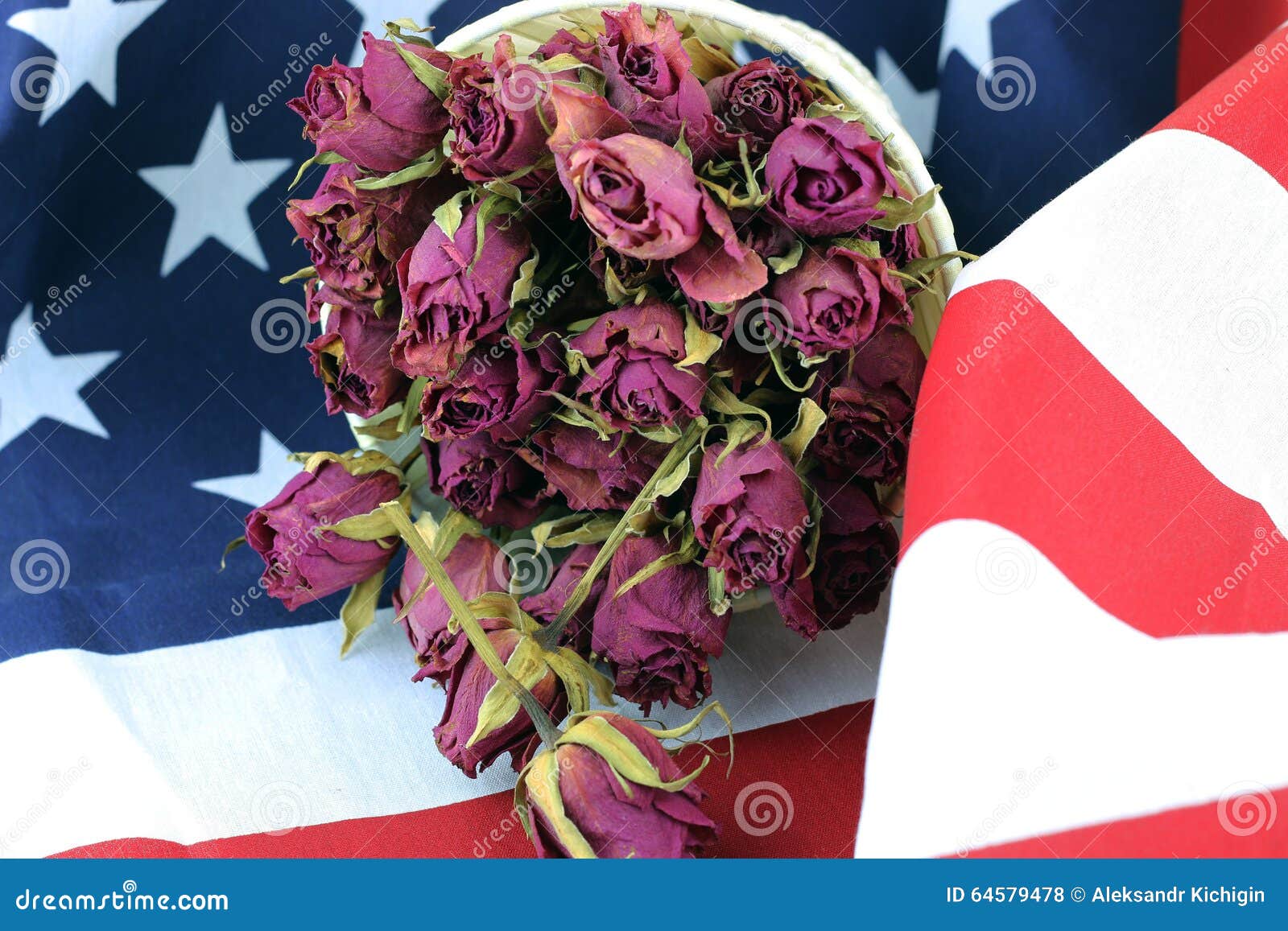 US Flag Rose Flower Royalty-Free Stock Photography | CartoonDealer.com ...