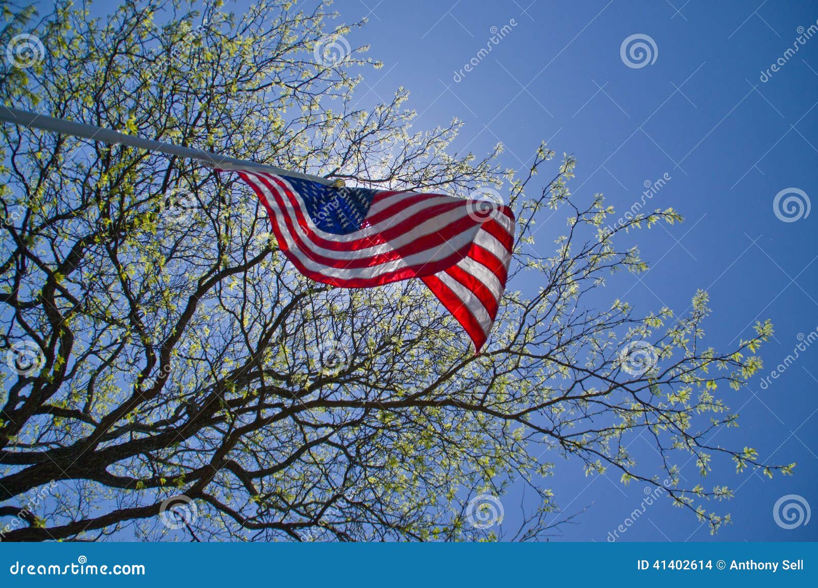 US Flag stock photo. Image of wave, field, american, waving - 41402614