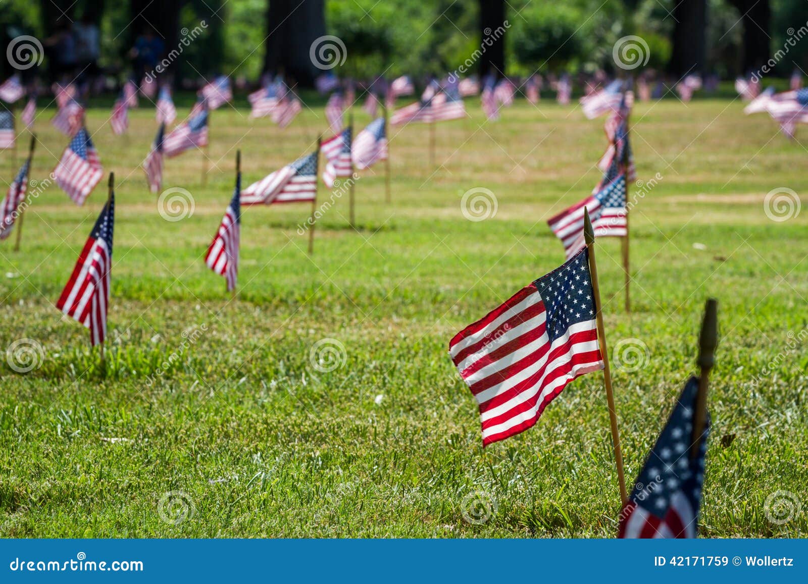 Us Flags in a Veterans Cemetery on Veterans Day Stock Image - Image of ...