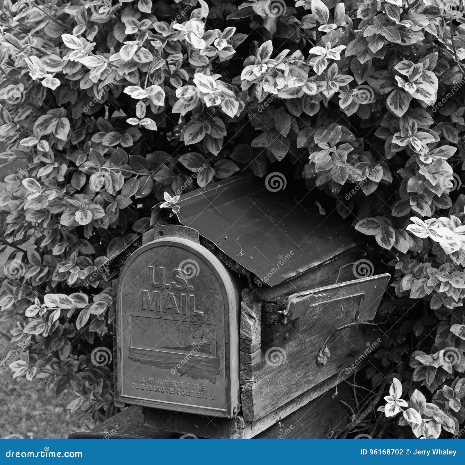 US Mailbox in a Bush editorial photography. Image of countryside - 96168702