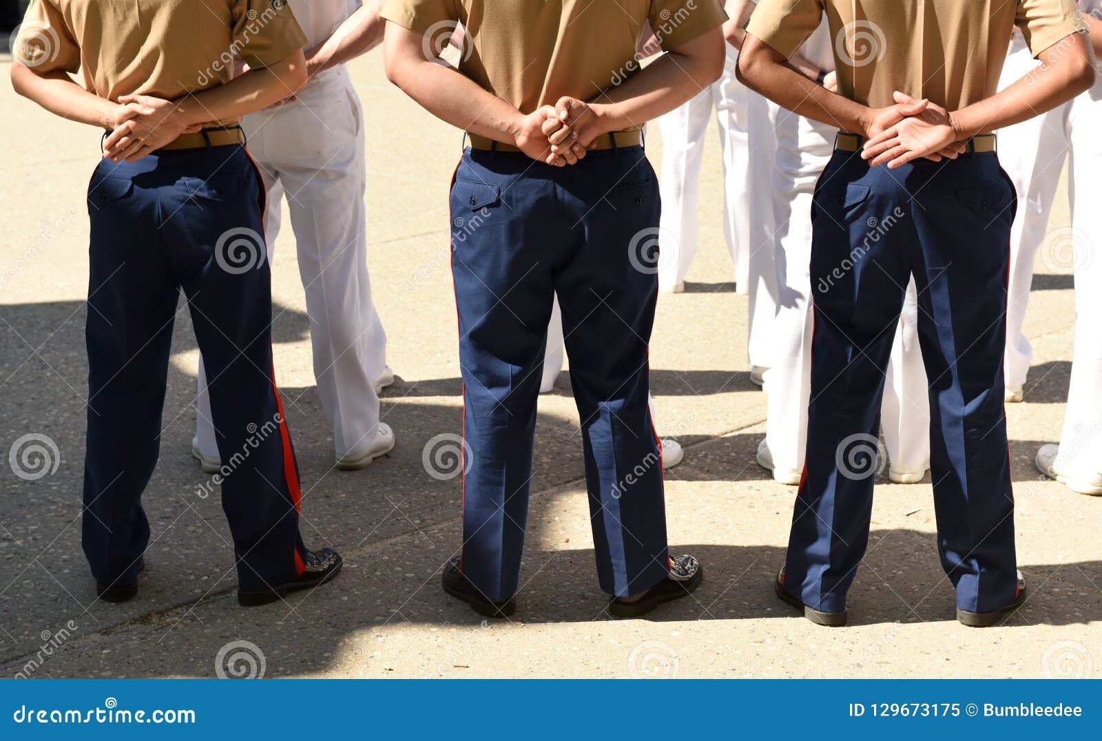 US Navy Sailors from the Back. US Navy Army. Stock Image - Image of ...