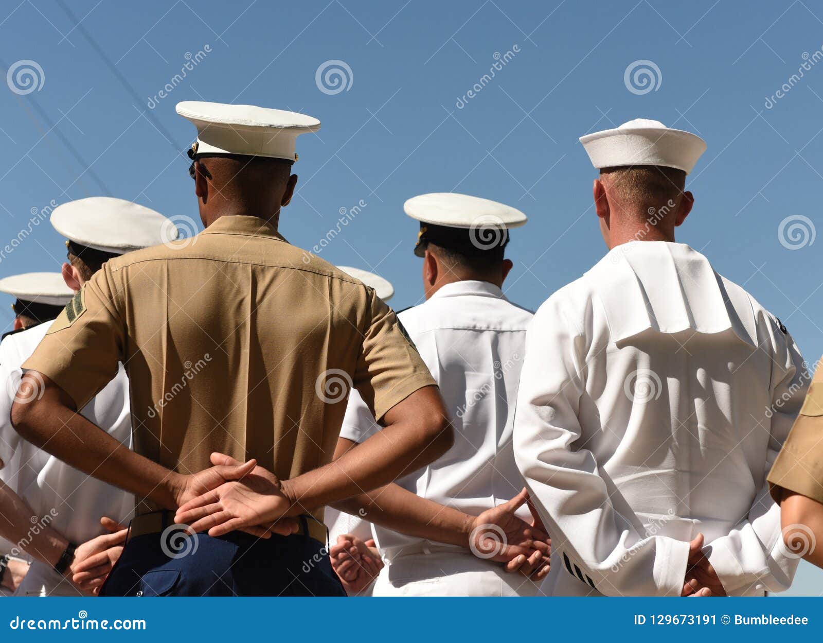US Navy Sailors from the Back. US Navy Army. Editorial Photo - Image of ...