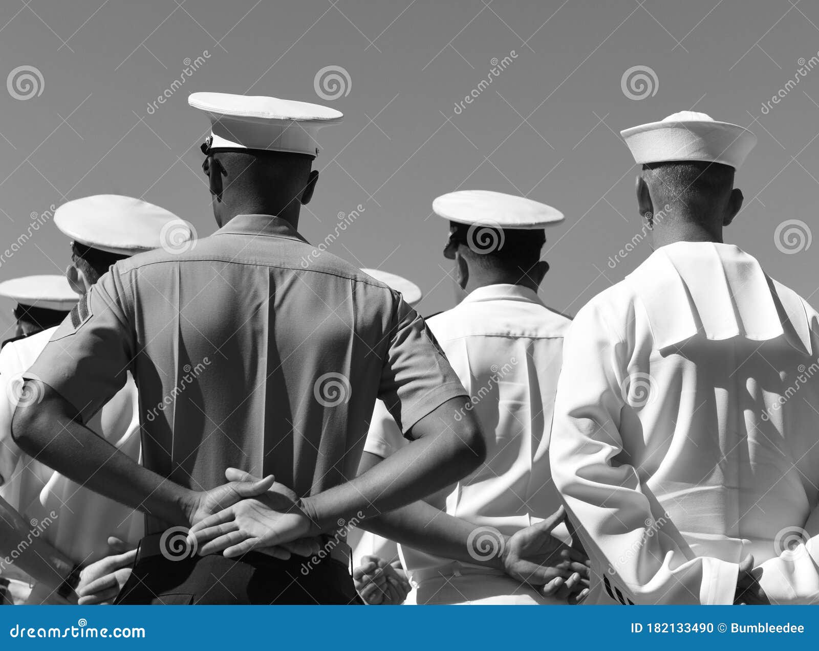 US Navy Sailors from the Back. US Navy Army Editorial Image - Image of ...