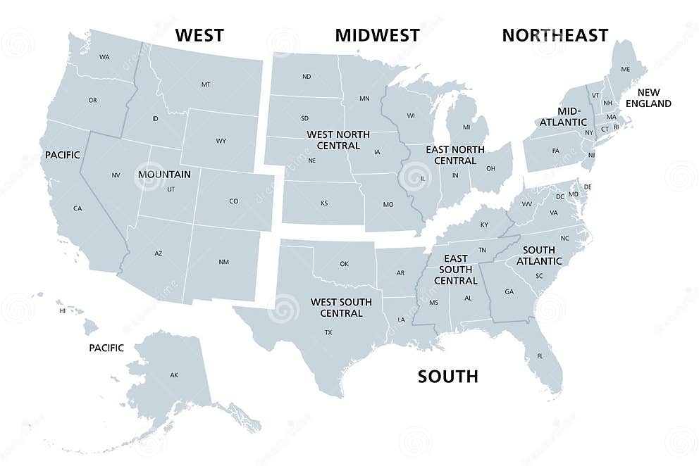 United States Divided in Census Regions and Divisions, Gray Map Stock ...