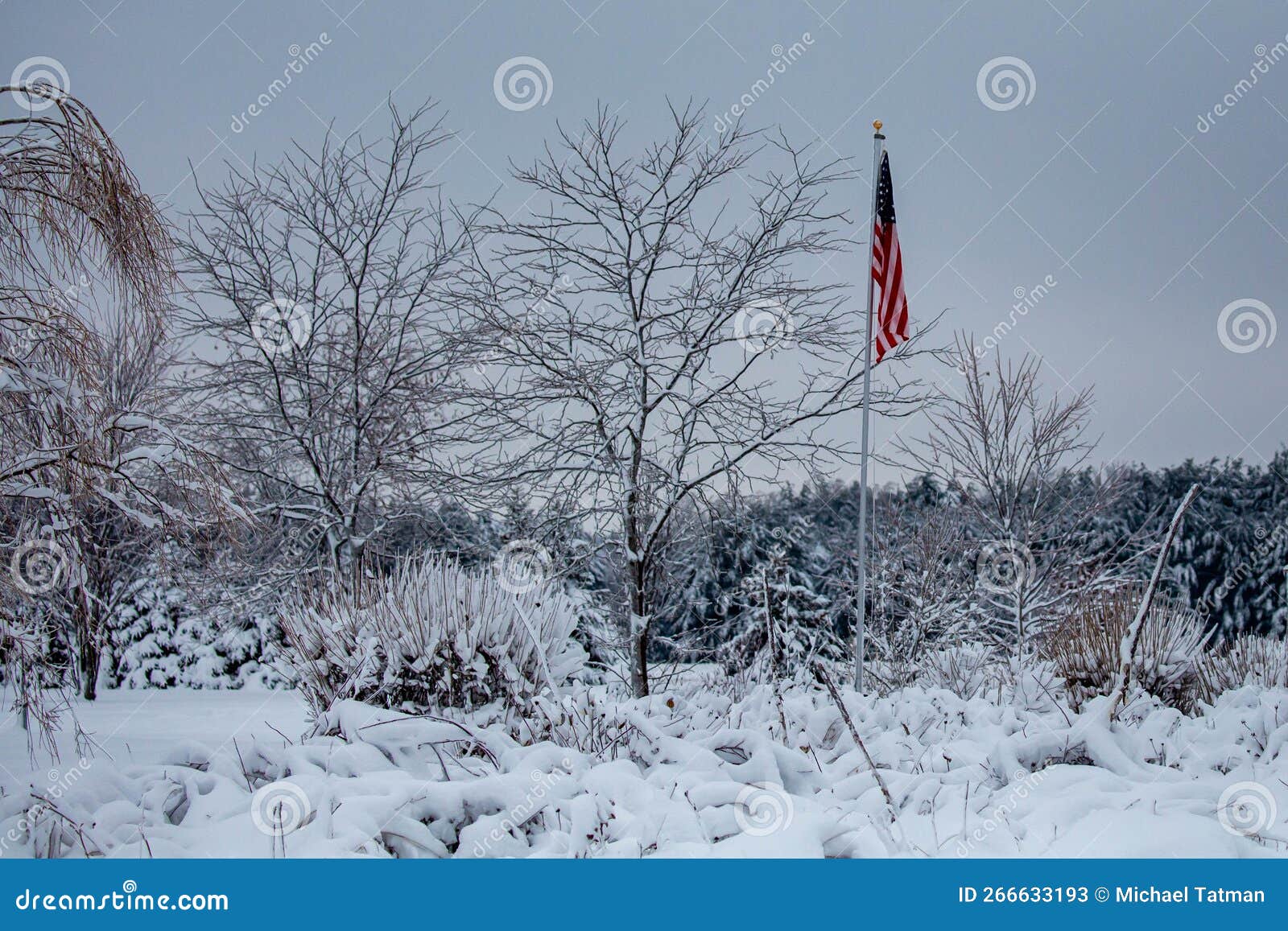 USA Flag in a Snow Covered Forest Stock Image - Image of snow ...