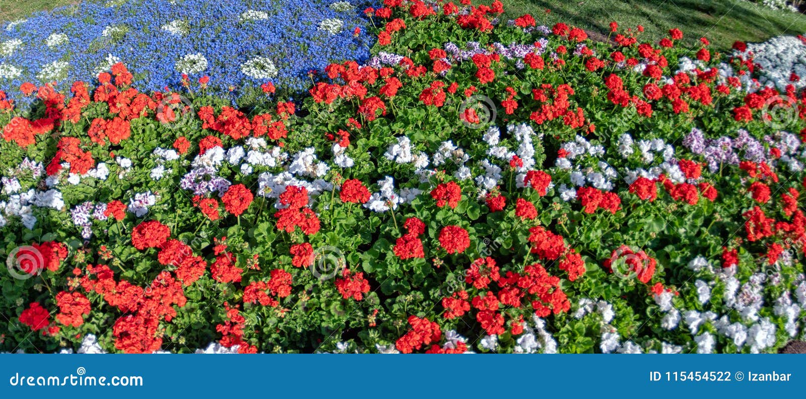 Usa flag made of flowers stock photo. Image of united - 115454522