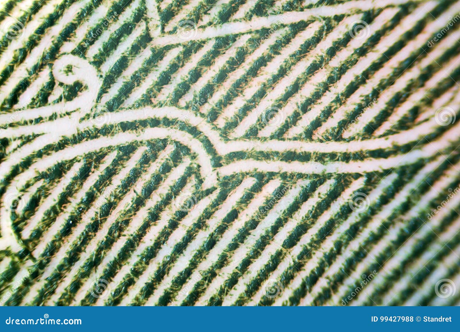 USA Money Under a Microscope Partially Out of Focus, Focus Point on ...