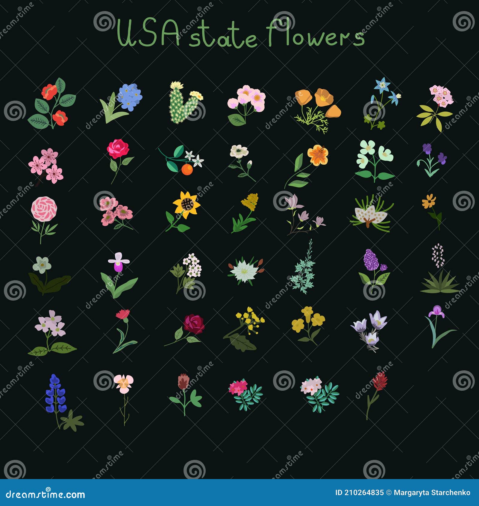 USA state flowers stock vector. Illustration of blossom - 210264835