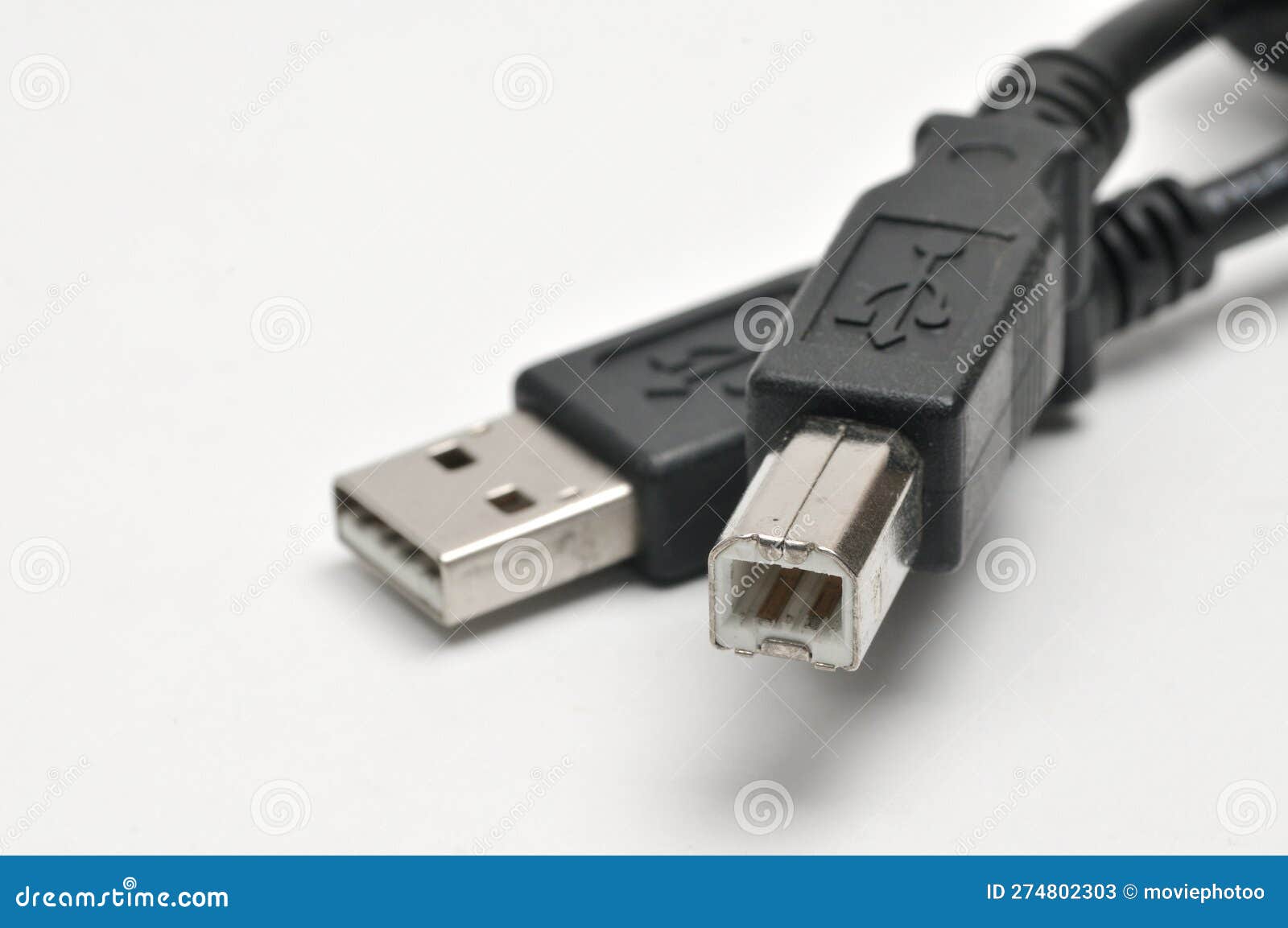 USB a and USB B Printer Plug Cable on White Background Stock Image ...