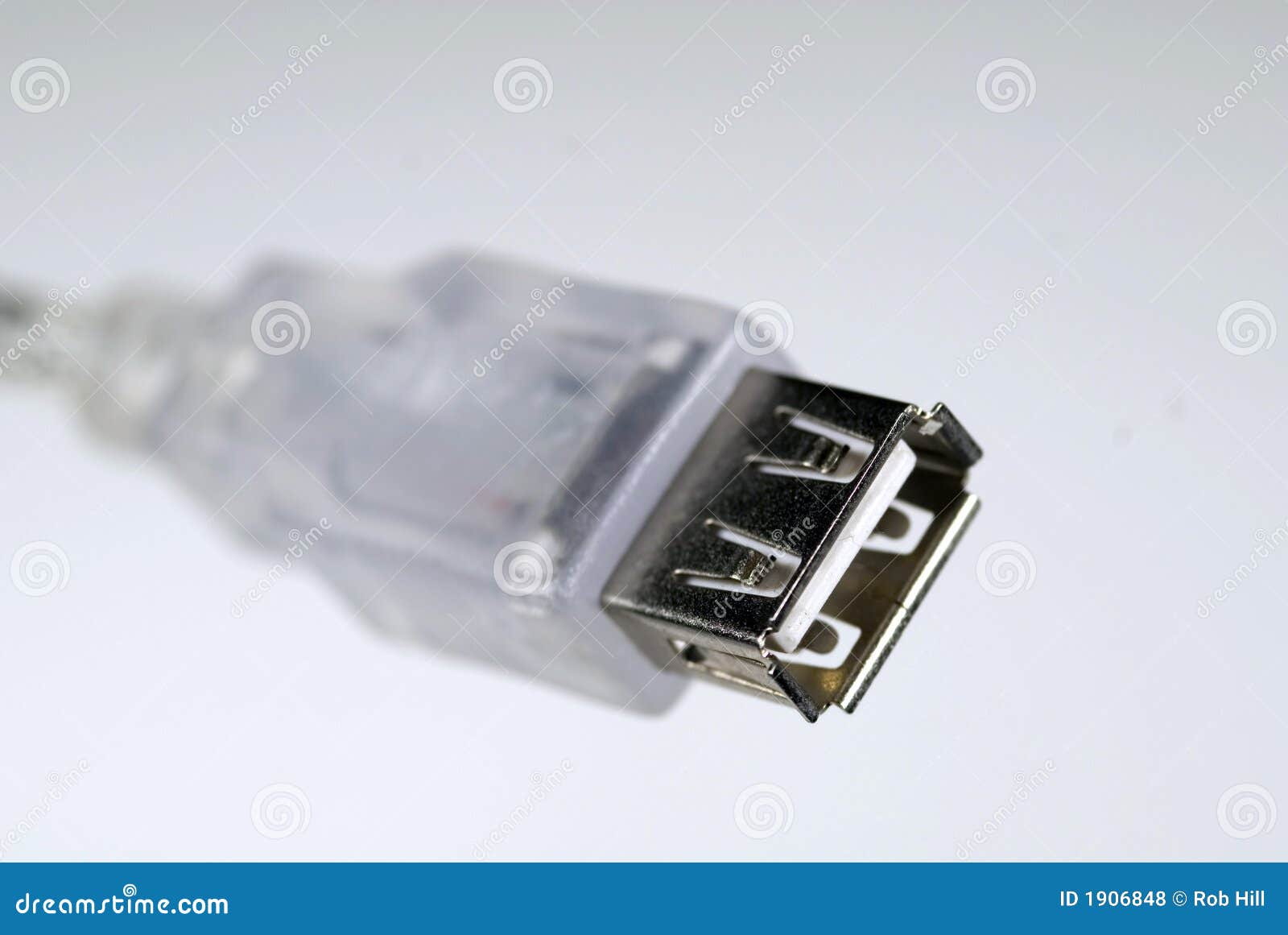 USB Cable Picture. Image: 1906848