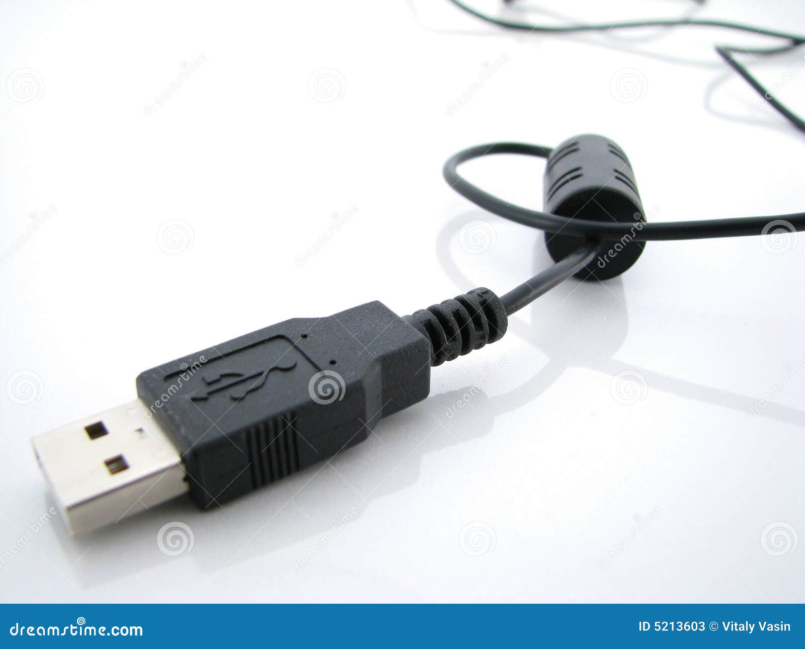 USB CABLE Picture. Image: 5213603