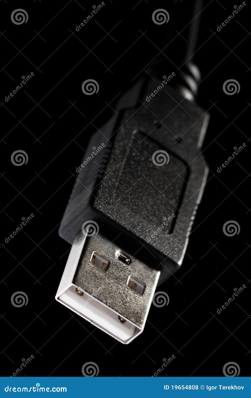 Usb cable close up stock photo. Image of metal, input - 19654808