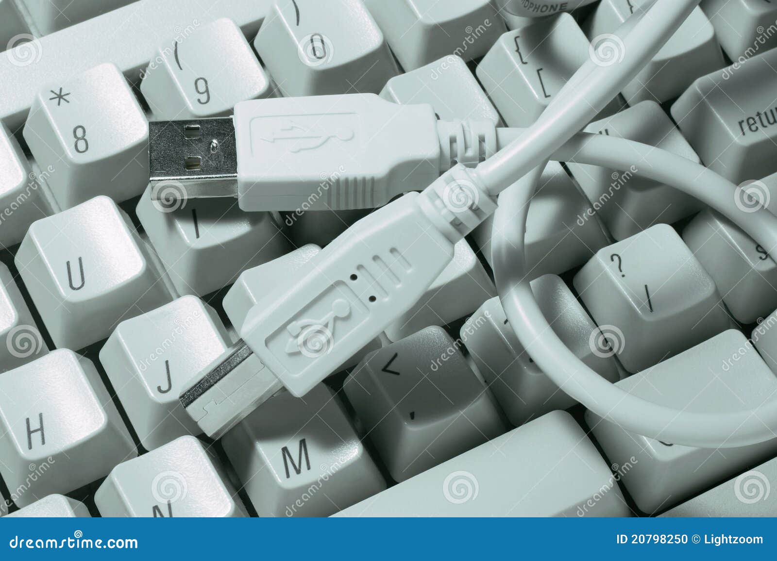 USB Cable on Computer Keyboard Stock Photo - Image of networking ...