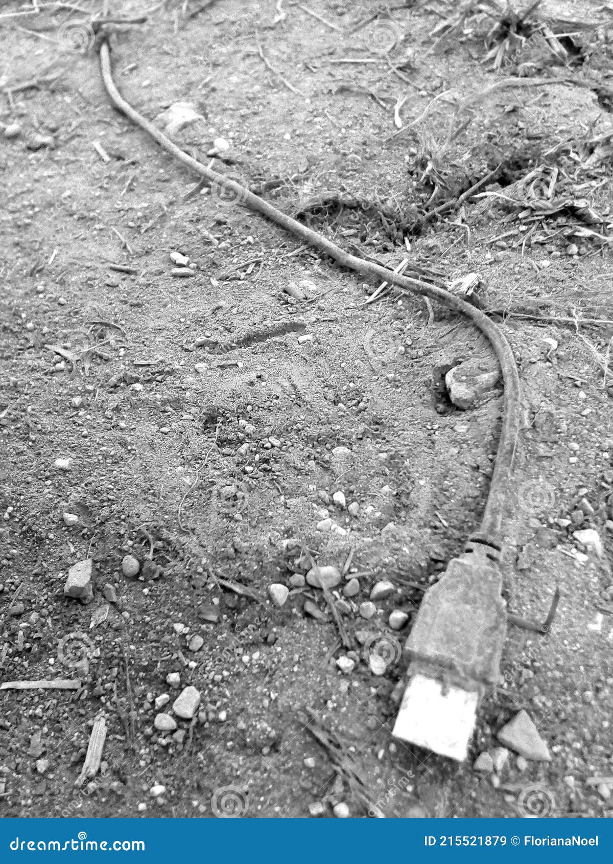 USB-cable in the ground stock image. Image of data, geology - 215521879