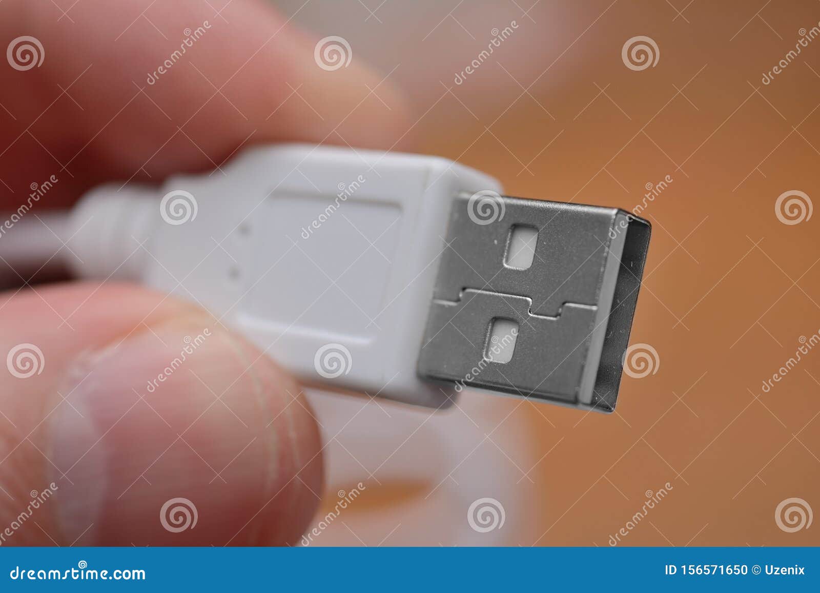 USB Cable Held with Fingers Close-up Stock Photo - Image of data, drive ...