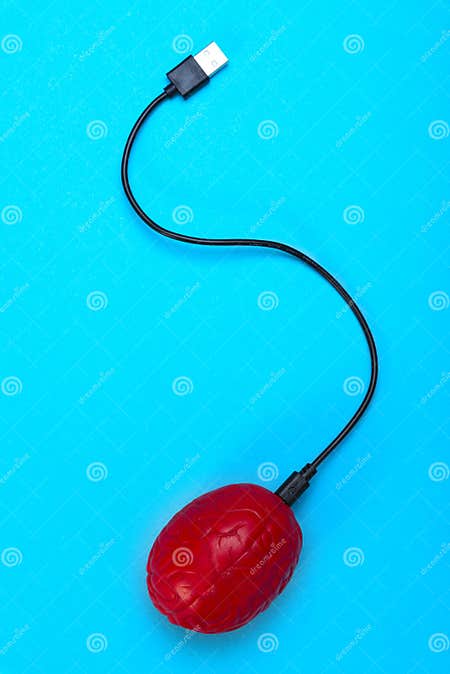 A USB Cable is Inserted into the Brain on a Blue Background, Brain ...