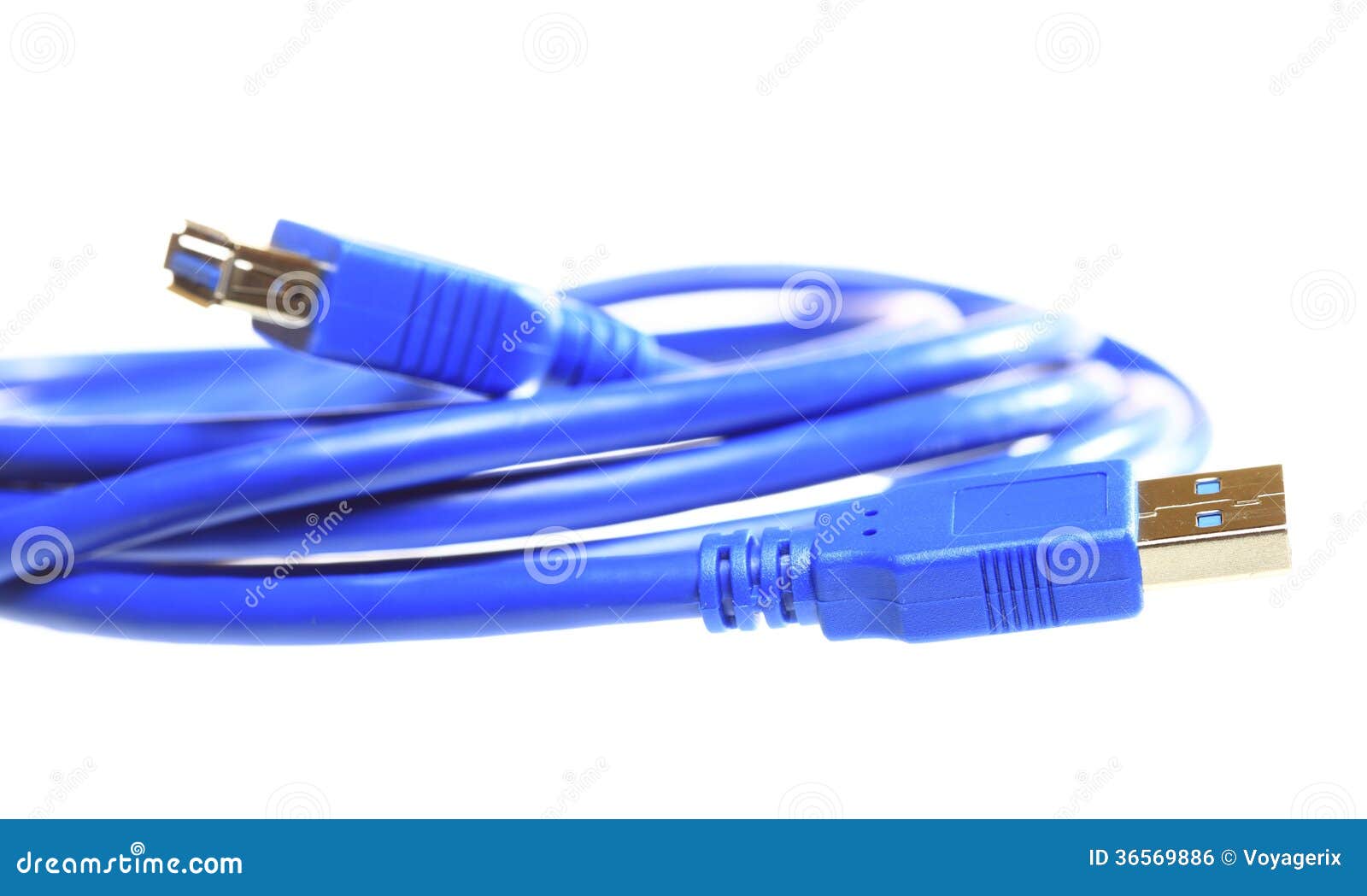 USB Cable Isolated on White Stock Photo - Image of interface, port ...