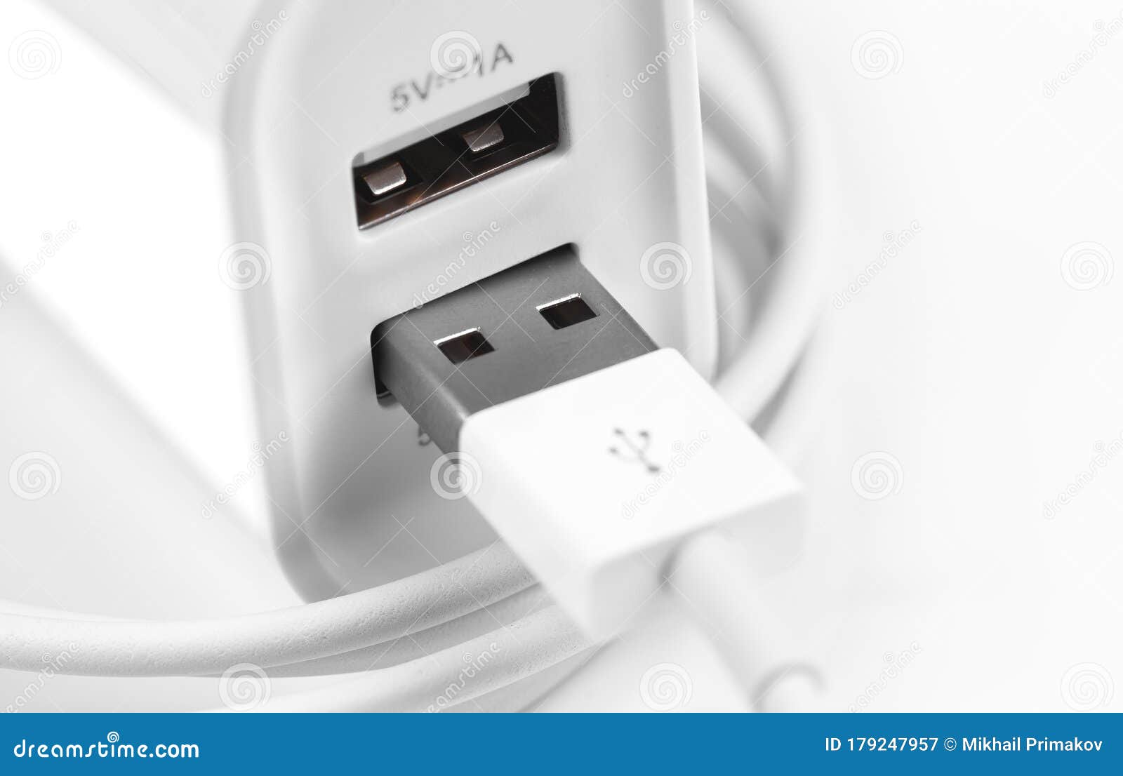 USB Charger Connector Cable Input and USB 5V 1A Ports on the White ...