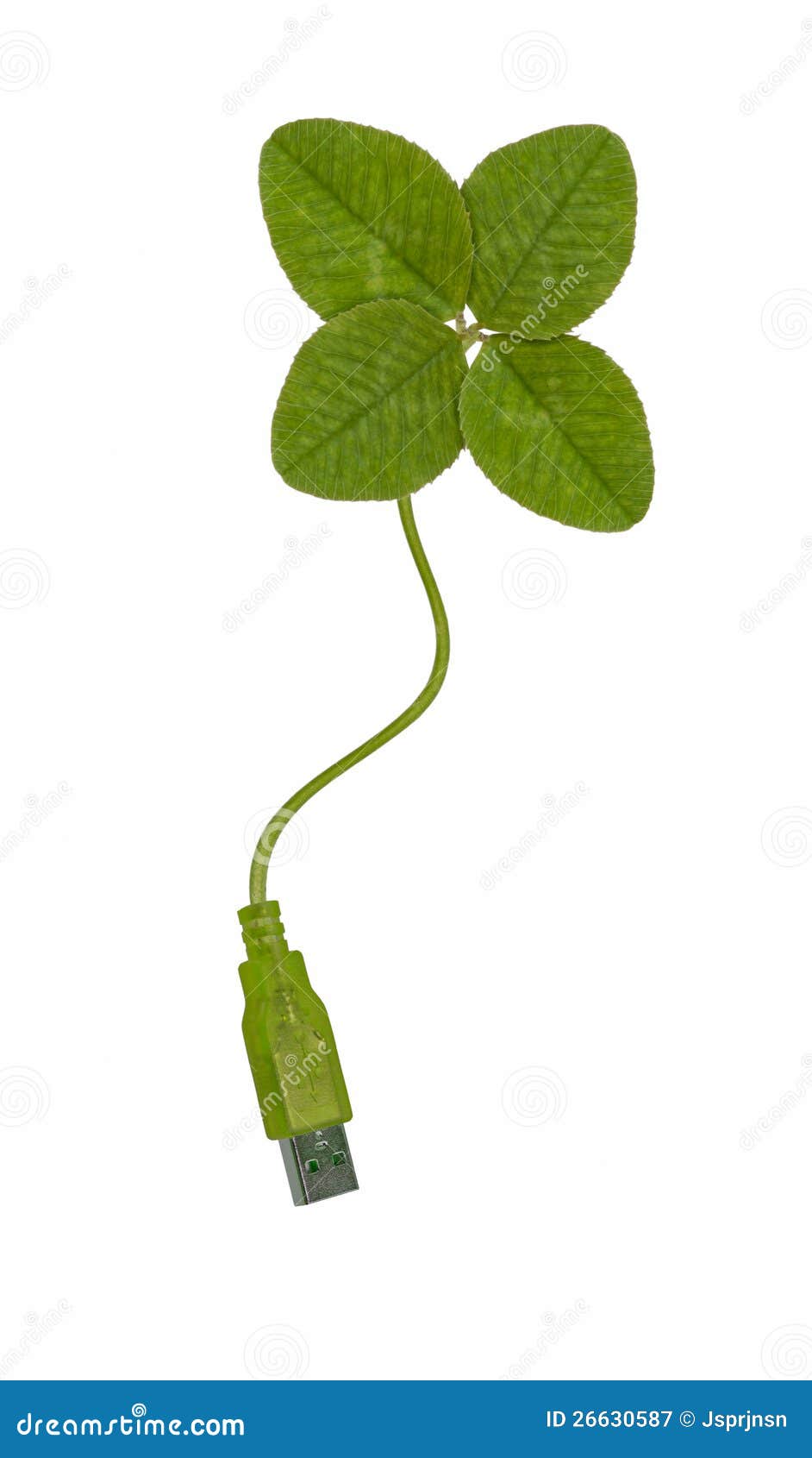 Usb Clover Stock Photos - Free & Royalty-Free Stock Photos from Dreamstime
