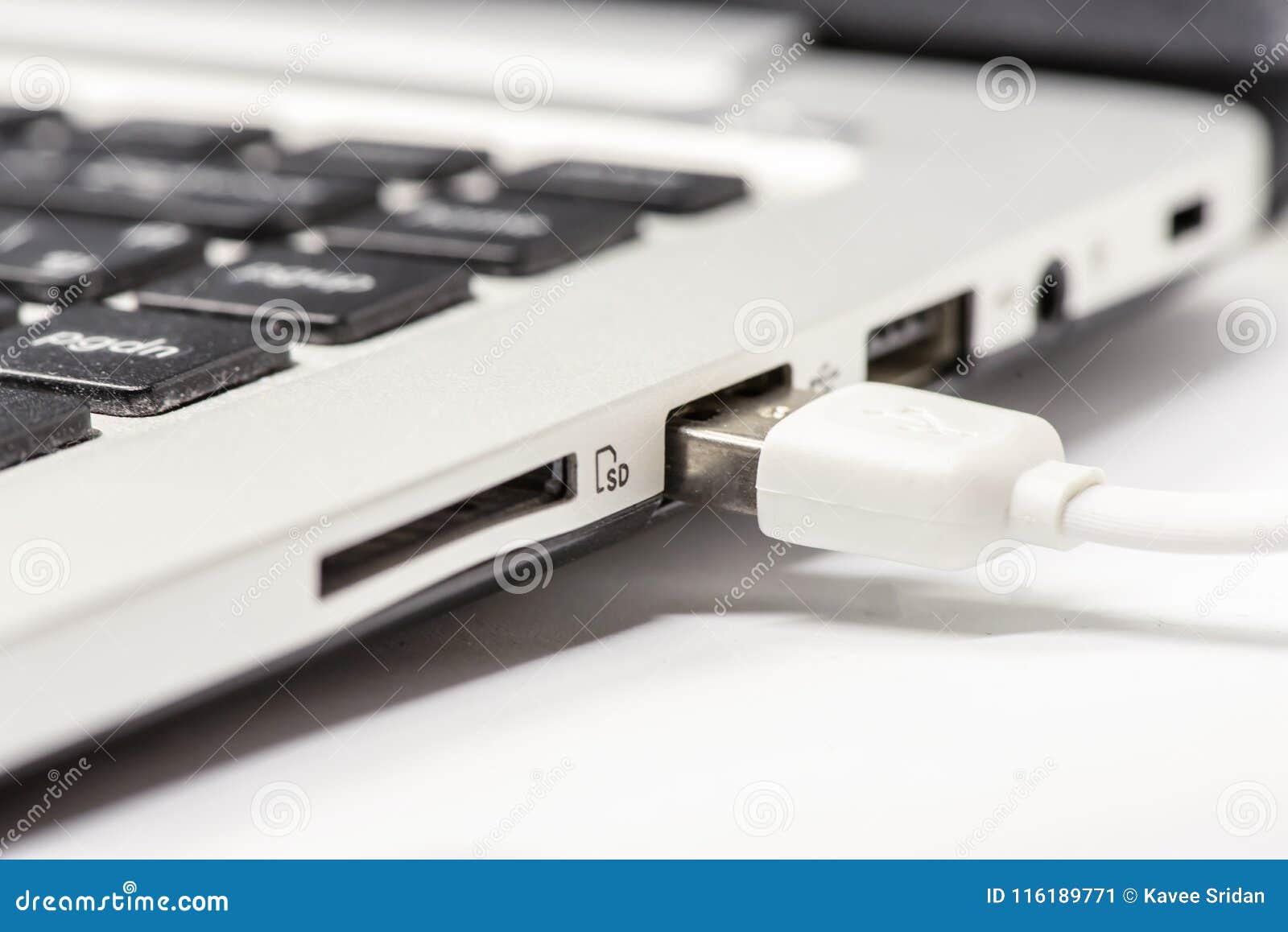 USB connection port stock image. Image of cable, multimedia - 116189771