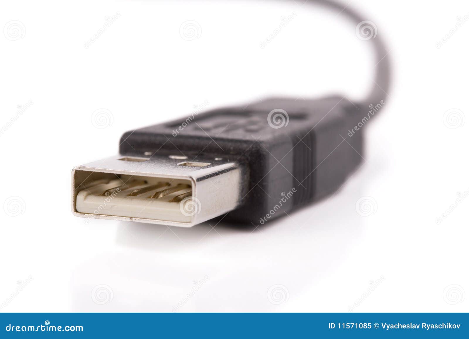 USB connector closeup stock image. Image of technology - 11571085