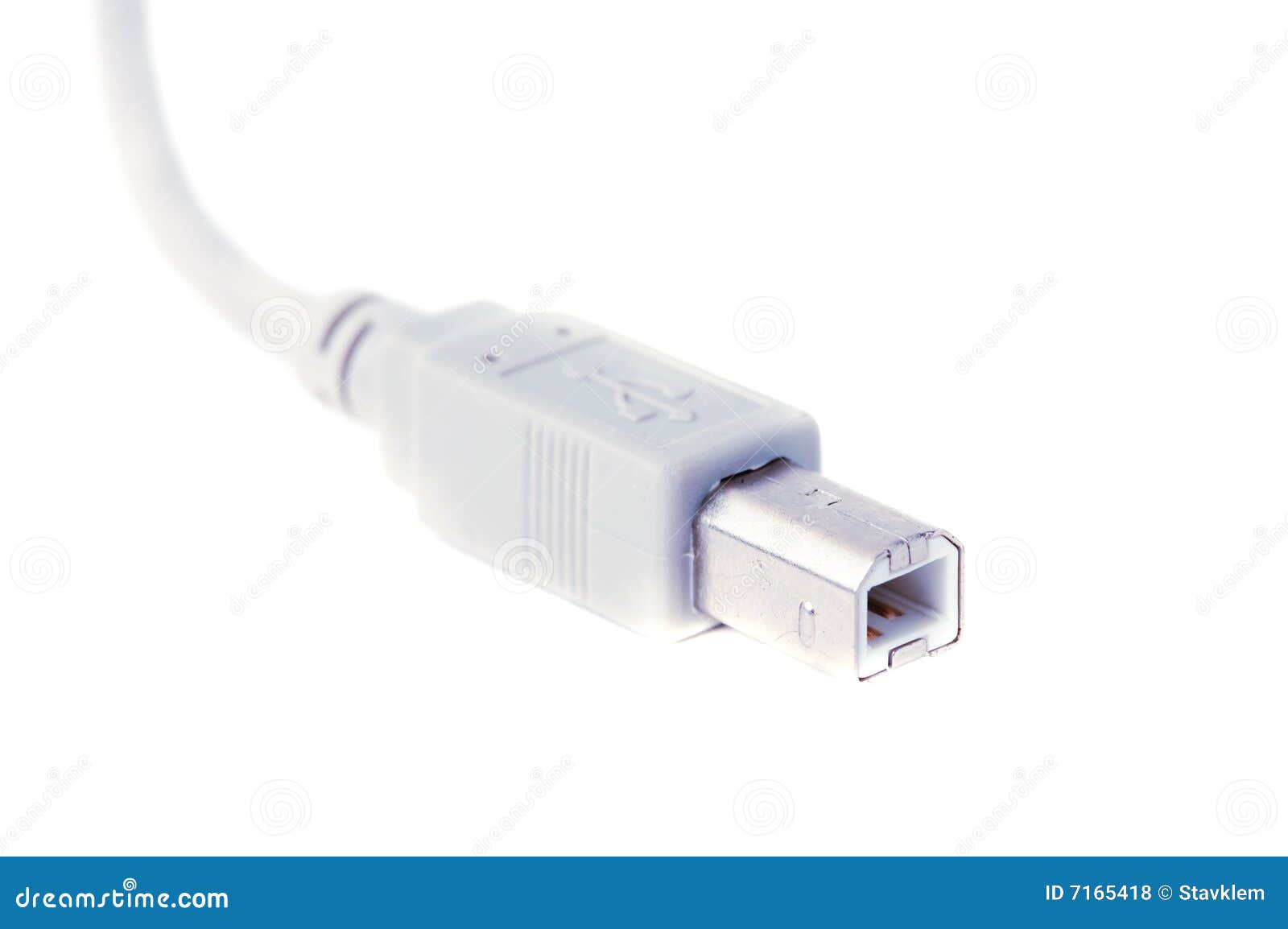 Usb Connector Isolated on White Stock Photo - Image of binary, high ...