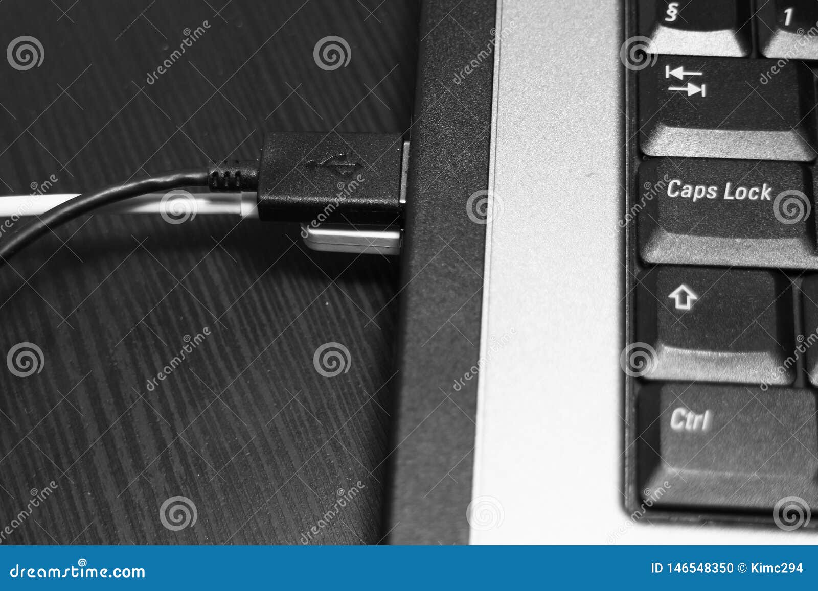 Usb Cords Inserted in Usb Sockets on a Laptop Stock Photo - Image of ...