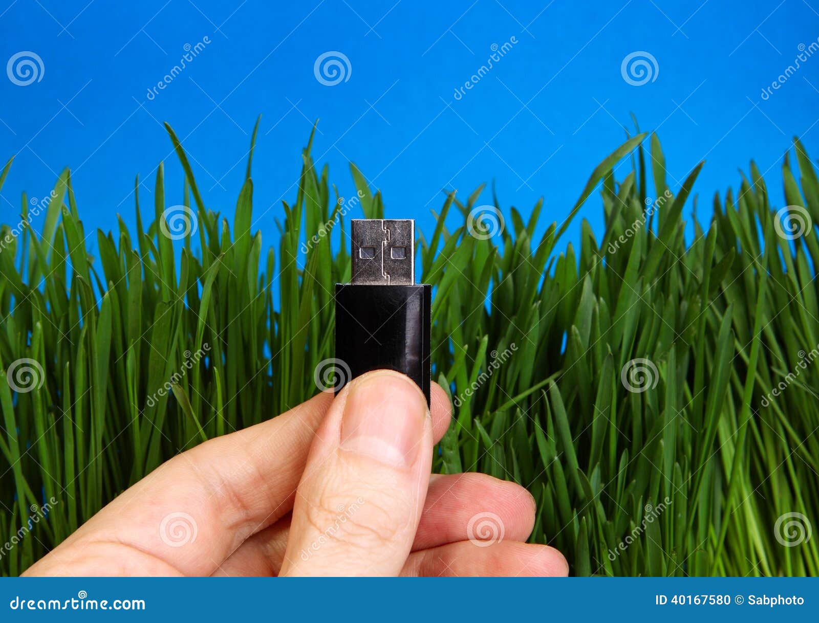 USB drive in a Hand stock photo. Image of growth, closeup - 40167580