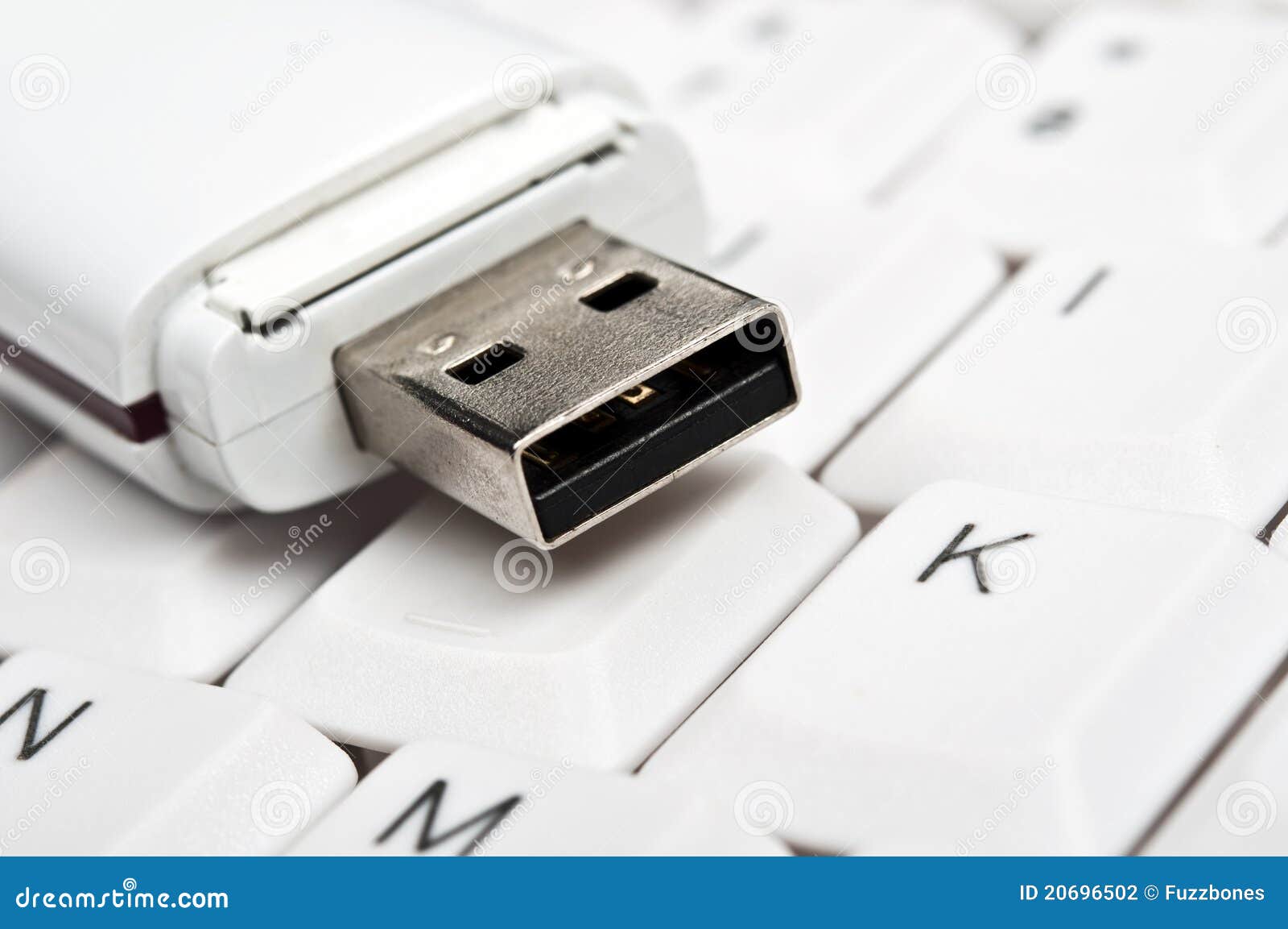 Usb drive on keyboard stock photo. Image of keypad, communication ...