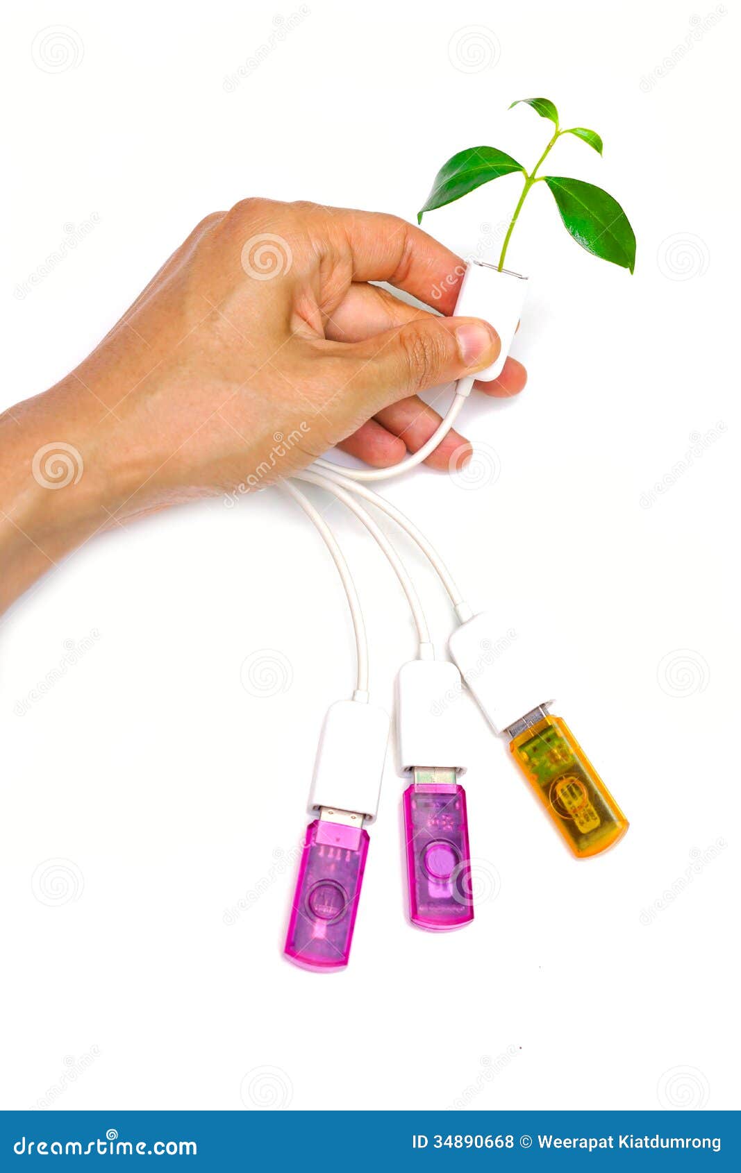 Usb green it stock photo. Image of leaf, volume, growth - 34890668