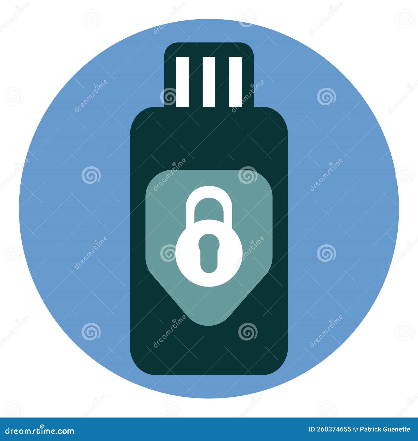 USB with lock, icon stock vector. Illustration of filled - 260374655