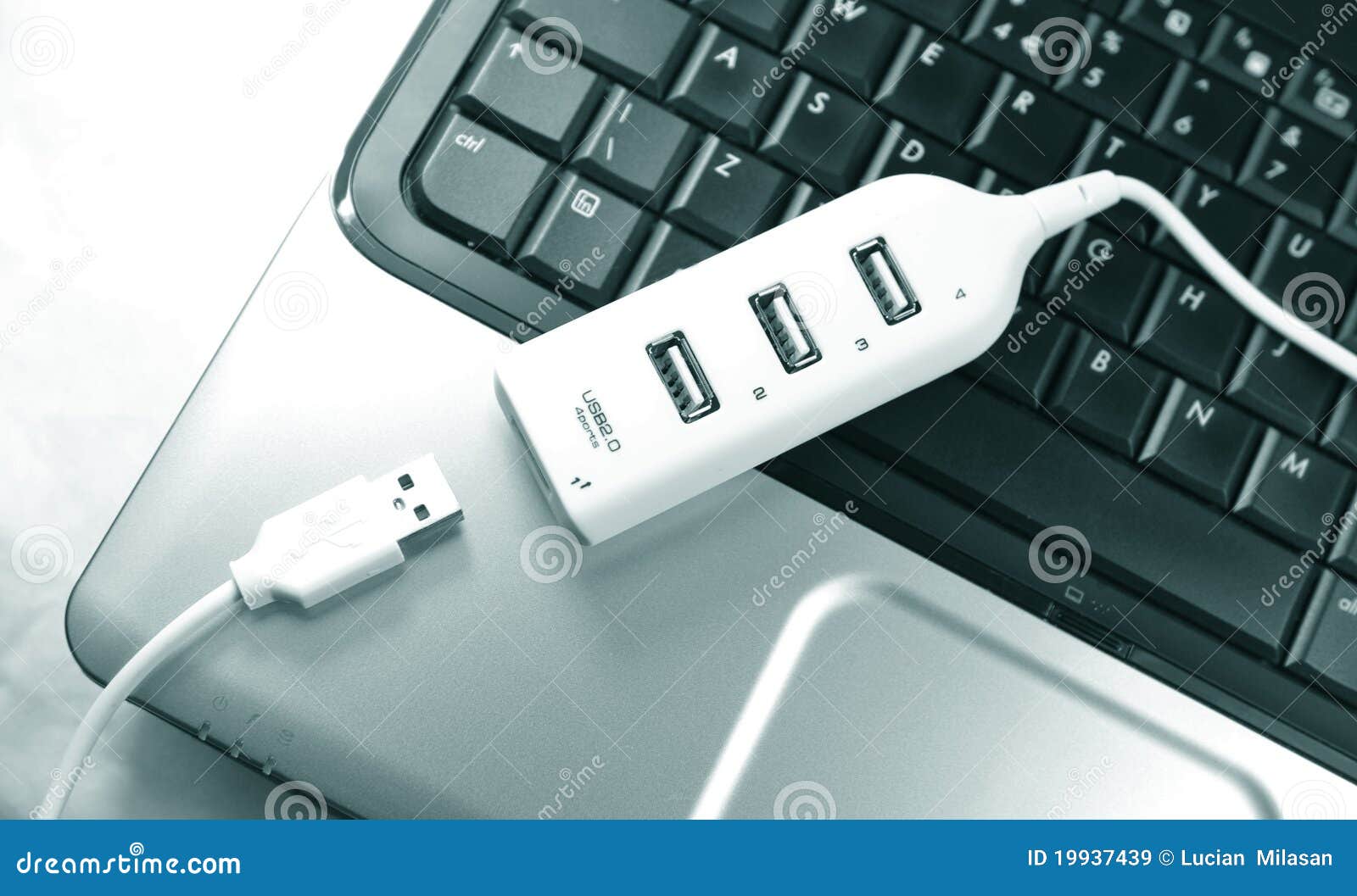 USB multiport stock image. Image of networking, keyboard - 19937439