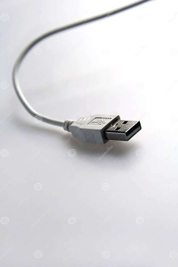 Usb plug stock photo. Image of cards, computers, closeup - 802294