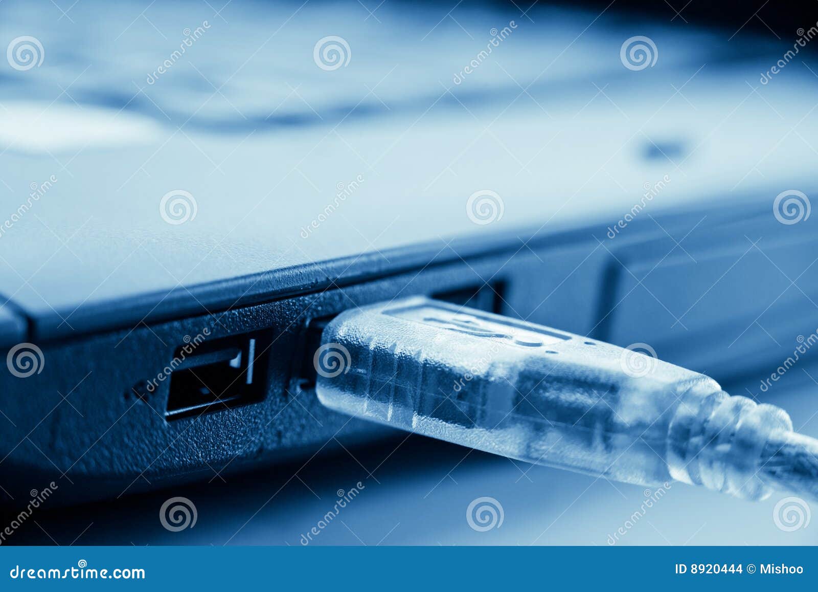 Usb plug stock photo. Image of macro, port, transfer, laptop - 8920444