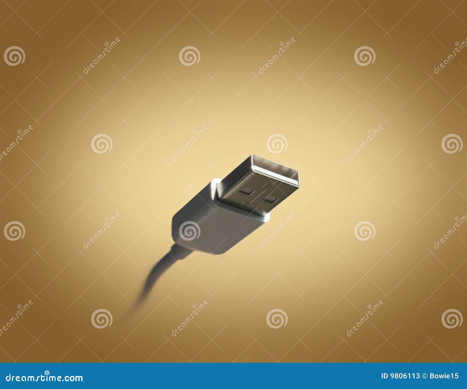 Usb Plug Picture. Image: 9806113