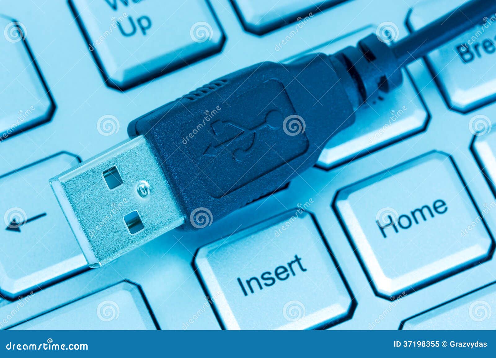 USB Plug on Computer Keyboard Stock Image - Image of communication ...