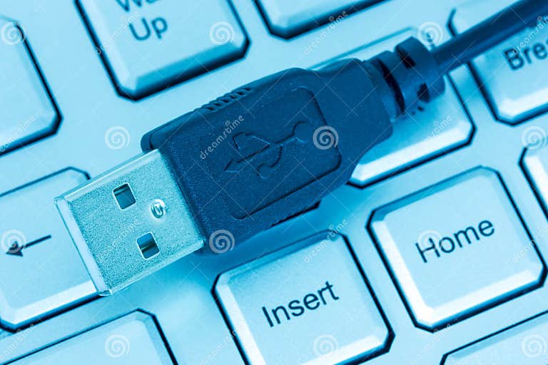 USB Plug on Computer Keyboard Stock Image - Image of communication ...