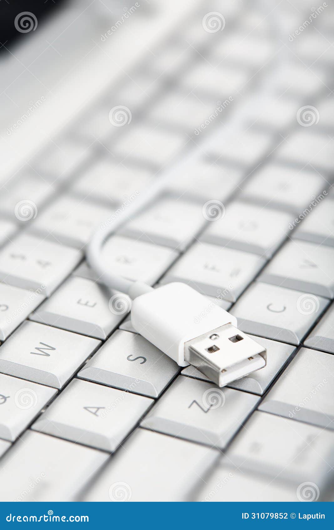 USB Plug stock photo. Image of control, business, plug - 31079852