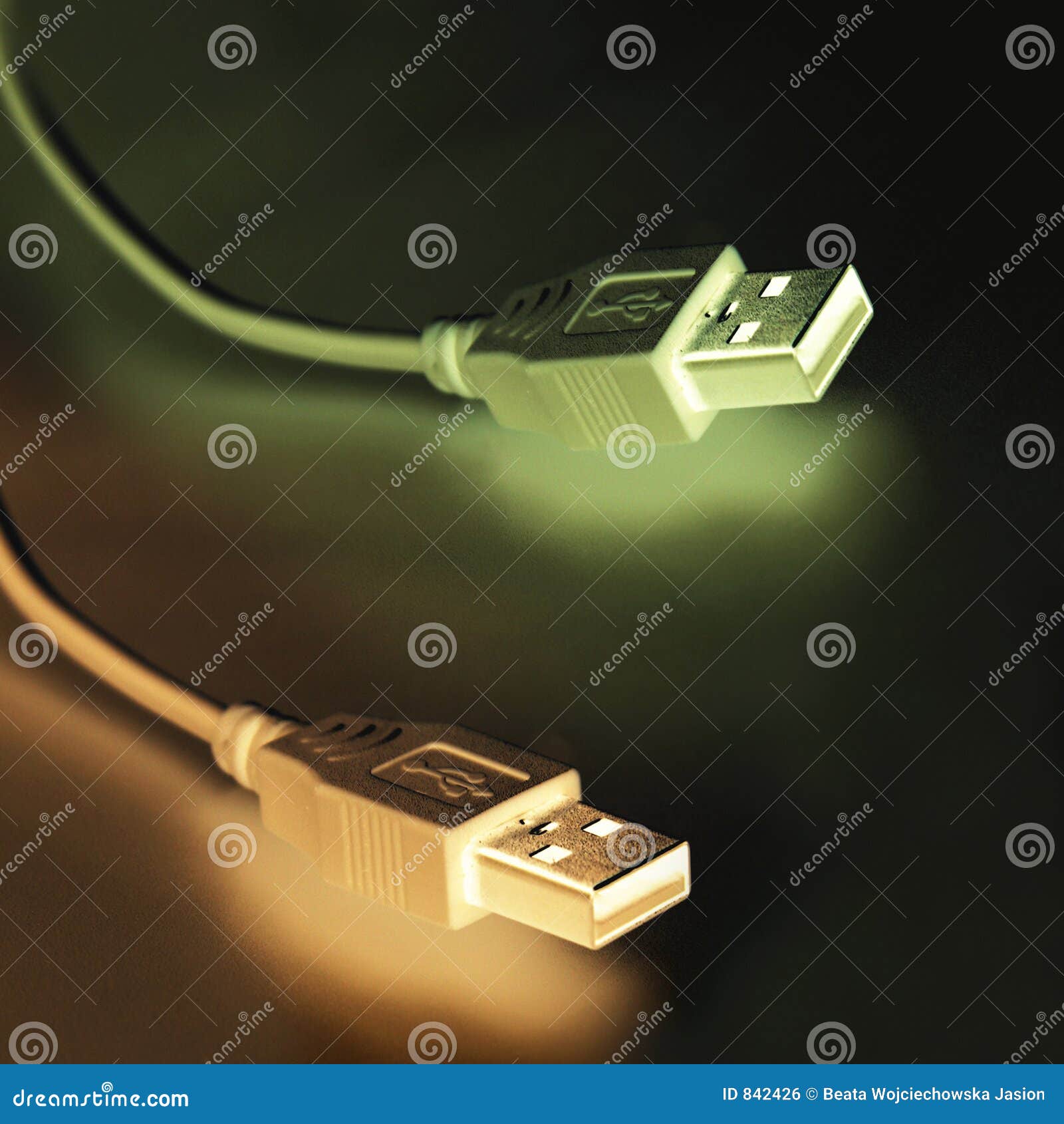 Usb plugs stock photo. Image of link, plastic, jack, close - 842426