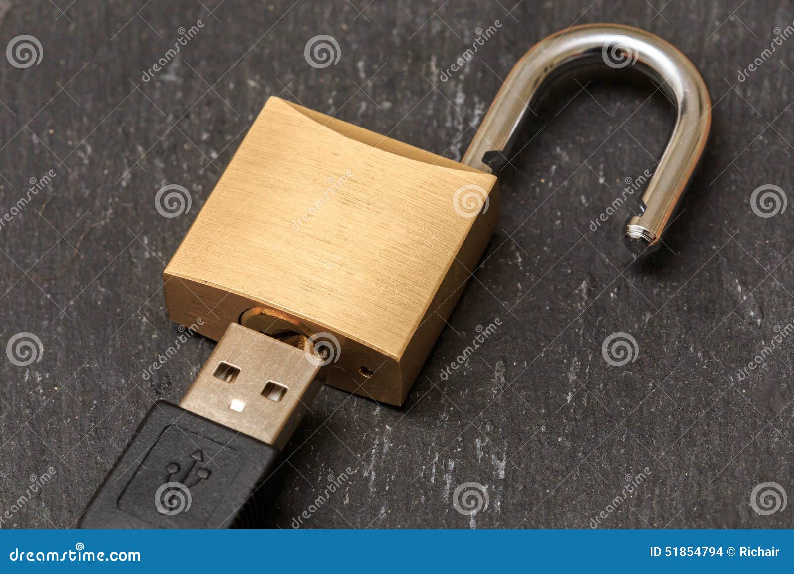 USB security stock photo. Image of horse, notebook, hack - 51854794