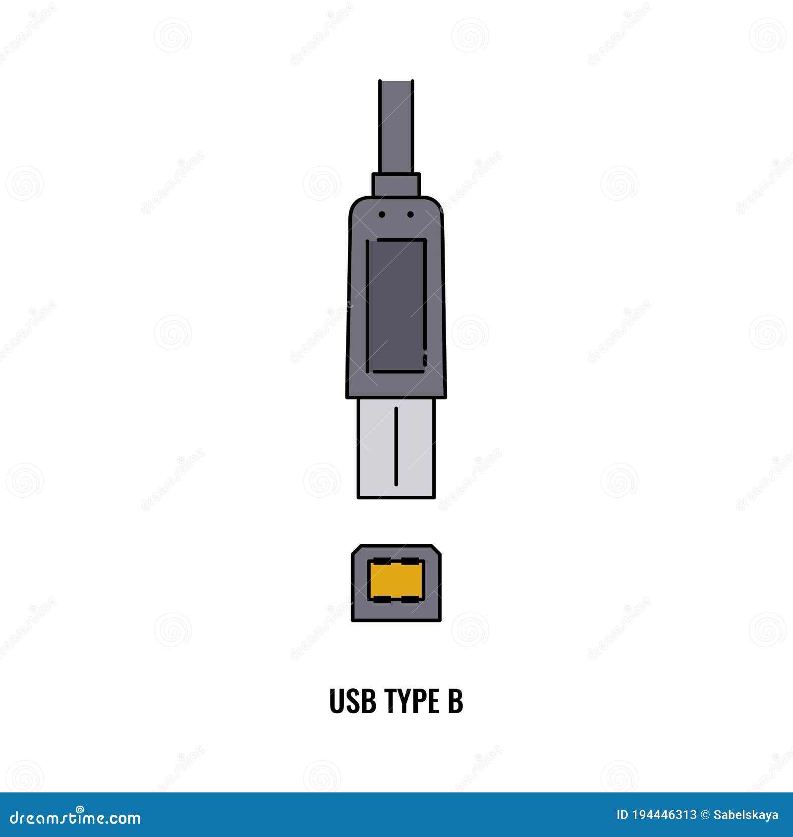 USB Type B Cable and Plug Connector Isolated on White Background Stock ...