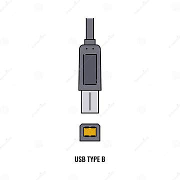 USB Type B Cable and Plug Connector Isolated on White Background Stock ...