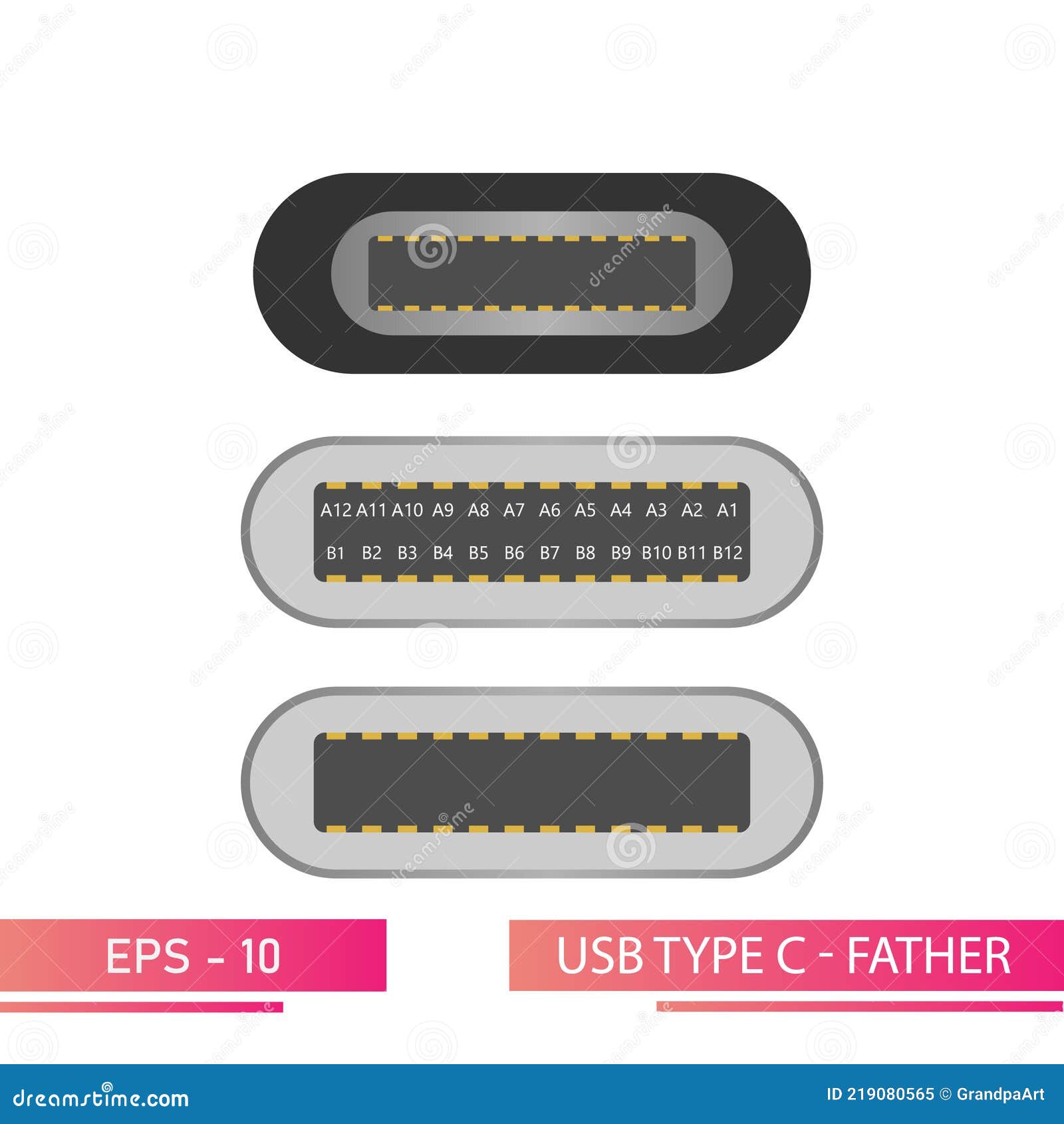 USB Type-C Connector Cartoon Vector | CartoonDealer.com #107031579