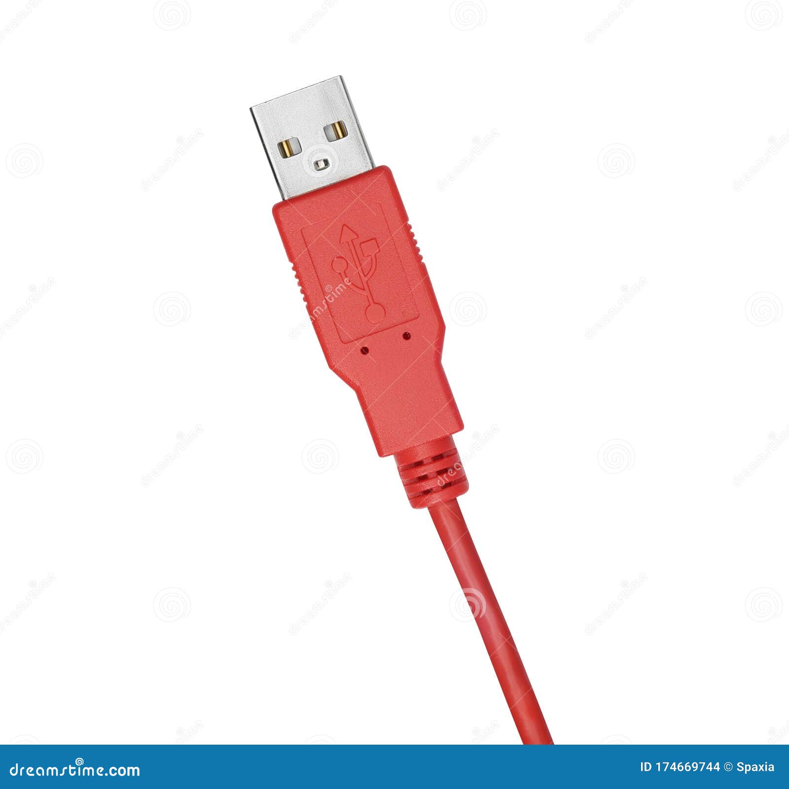 USB Type a Cable Plug Isolated on White Stock Photo - Image of isolated ...