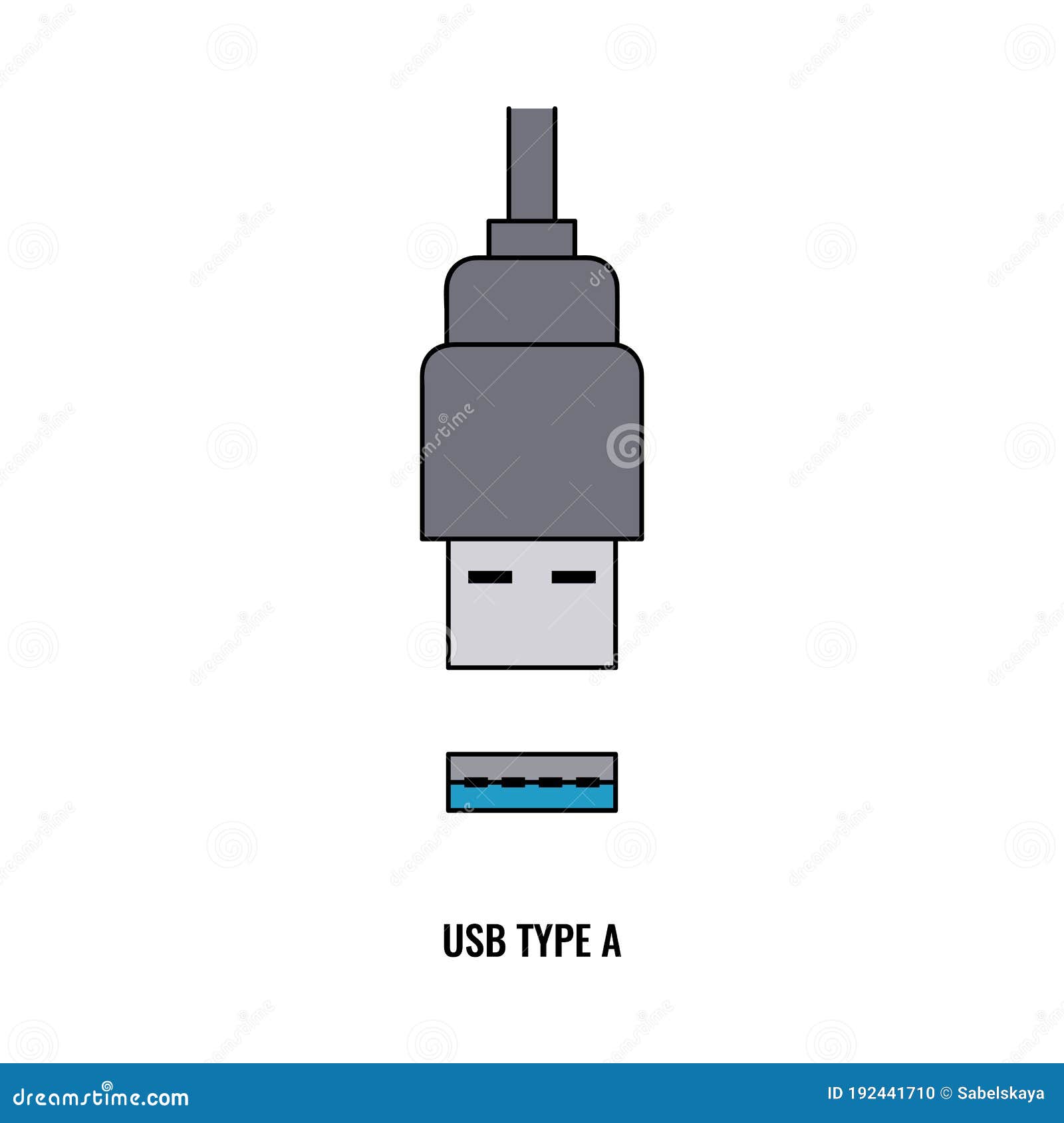 USB Type a Plug and Connector Isolated on White Background Stock Vector ...