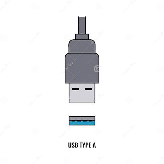 USB Type a Plug and Connector Isolated on White Background Stock Vector ...
