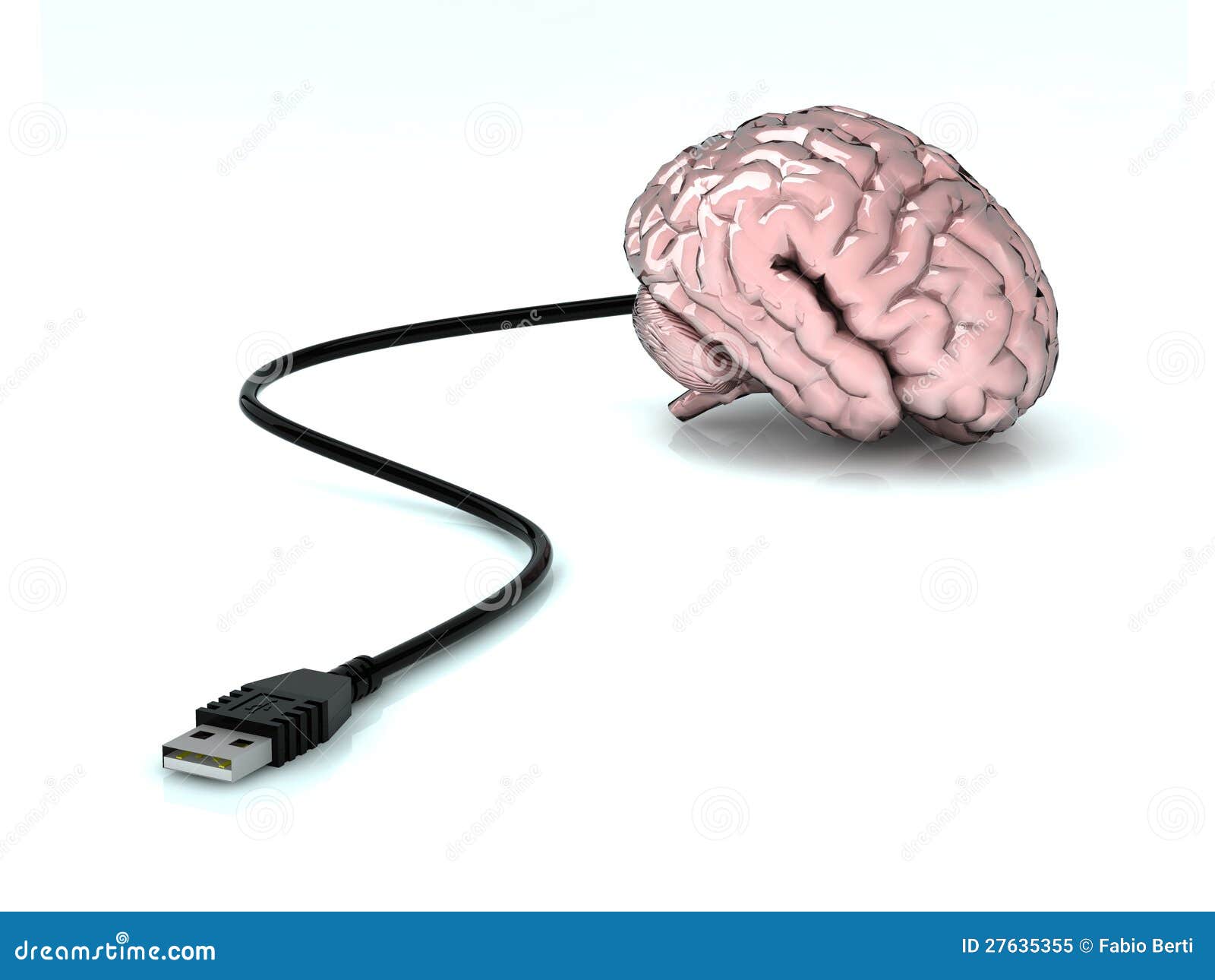 Usb uman brain stock illustration. Illustration of body - 27635355