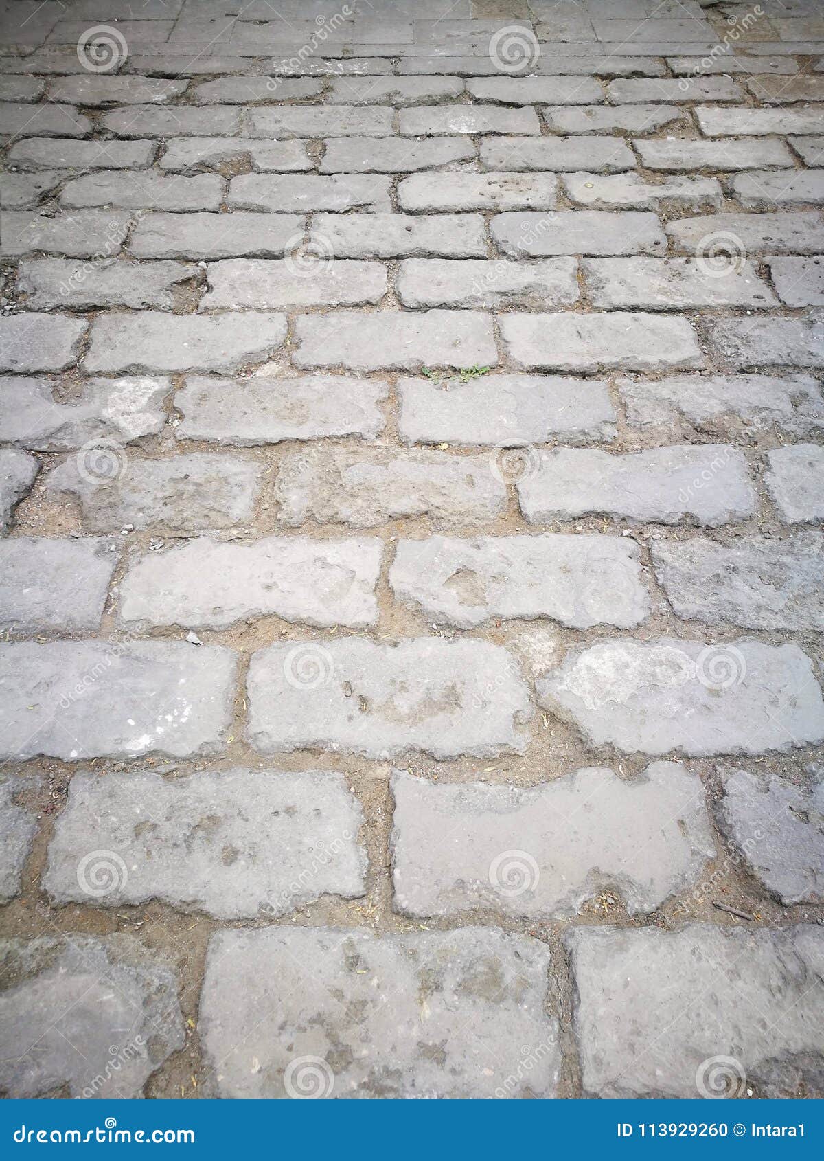 Perspective View of Ruined Ancient Walkway, for Texture and Background ...